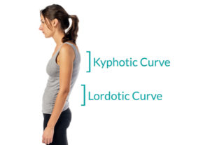 Spine Structure - Texas Spine Clinic